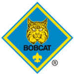 Wolves (2nd Grade) - Pack 221, Plano TX